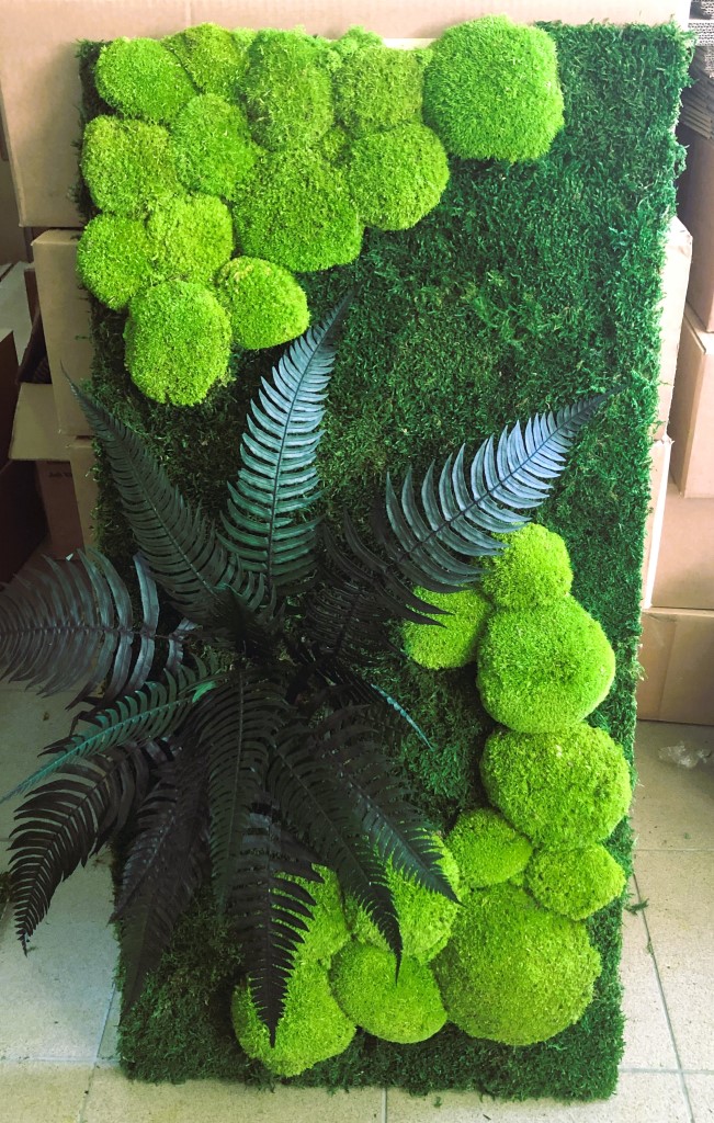 Preserved Moss Wholesaler EU - Buy Moss For Decorations and Green Walls ...