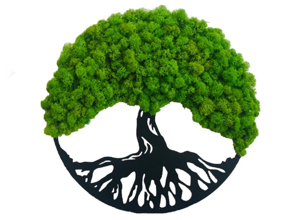 Moss Wall Art | Natural Moss Decorations moss-shop.eu
