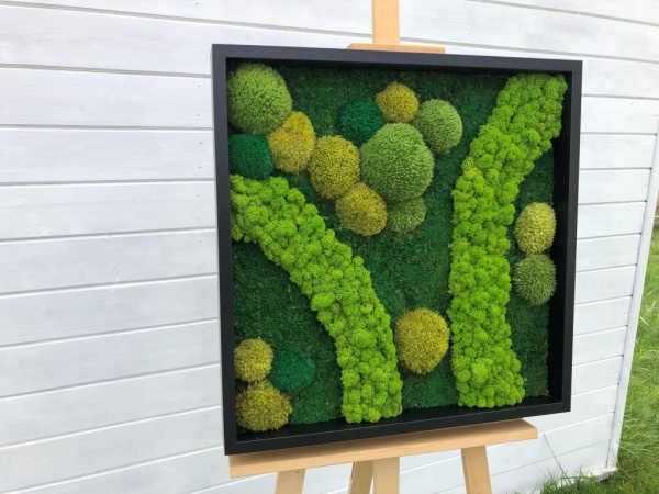 Moss Wall Art, Presetved Moss Paintings. moss-shop.eu