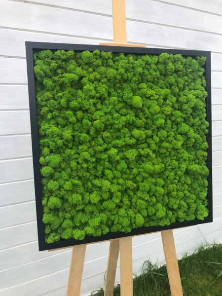 Moss Wall Art, Presetved Moss Paintings. moss-shop.eu